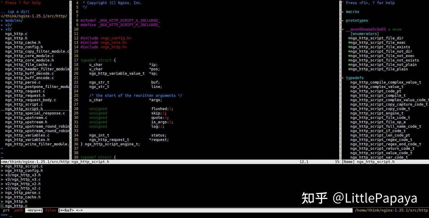 Vim C/C++/Go 开发环境搭建 - 知乎