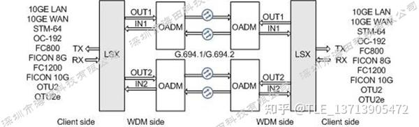 TNF1LSX_TNF2LSX 10Gbit/s波长转换板 - 知乎