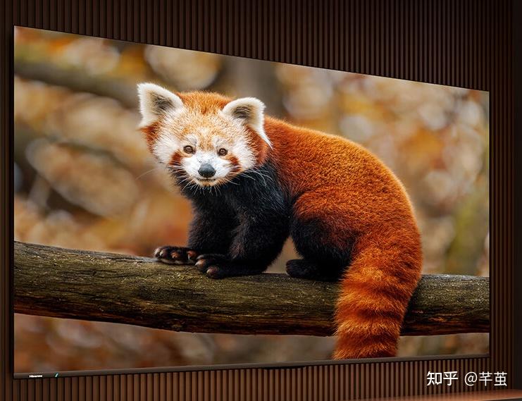 海信65e5k和65e5hpro哪个好？对比电视区别，说出真相