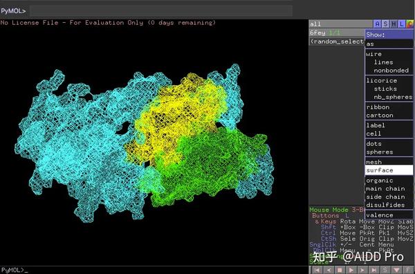 PyMOL：您真正需要知道的 10 个非常基本的命令【04】 - 知乎