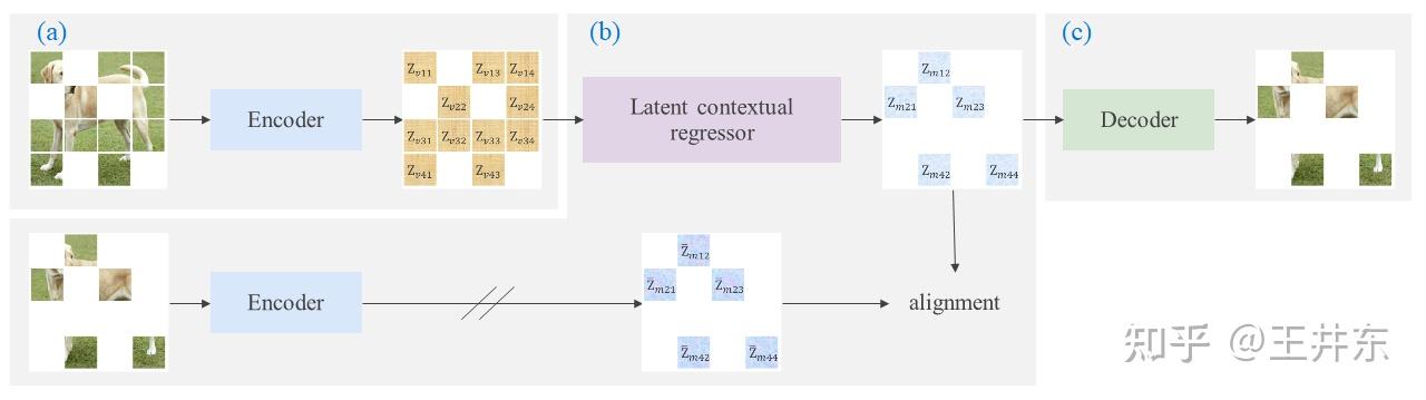 自监督表征预训练之掩码图像建模：CAE 及其与 MAE、BEiT 的联系 - 知乎