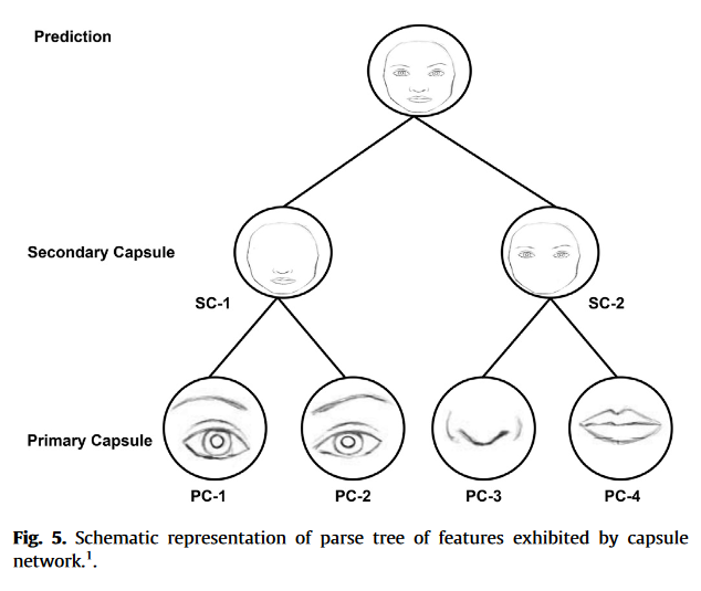 [综述笔记] 一些胶囊网络的语料库 - 知乎