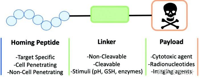 ADC/PDC血清稳定性研究 - 知乎