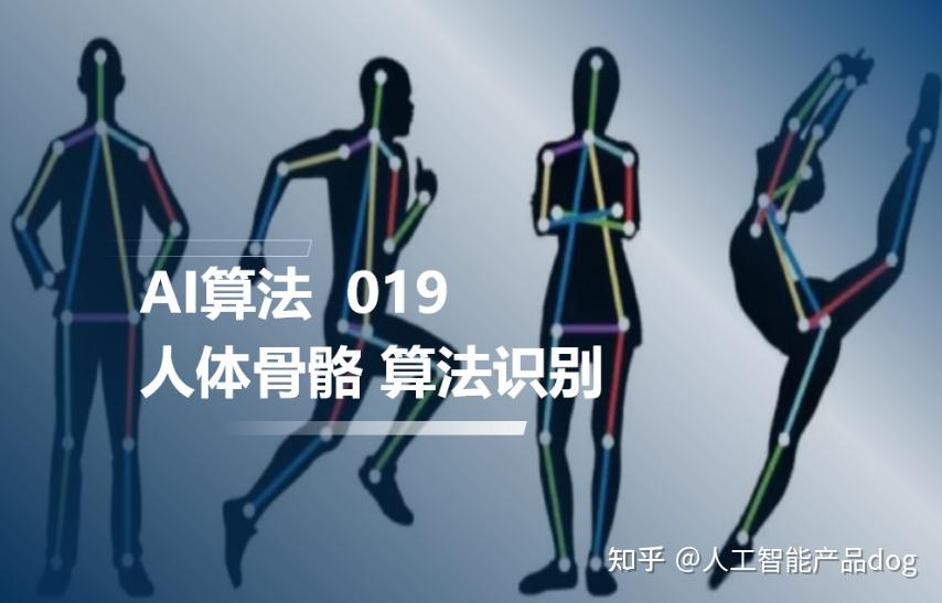 人体骨骼算法：助力工业场景管理，支持识别多种行为动作 - 知乎
