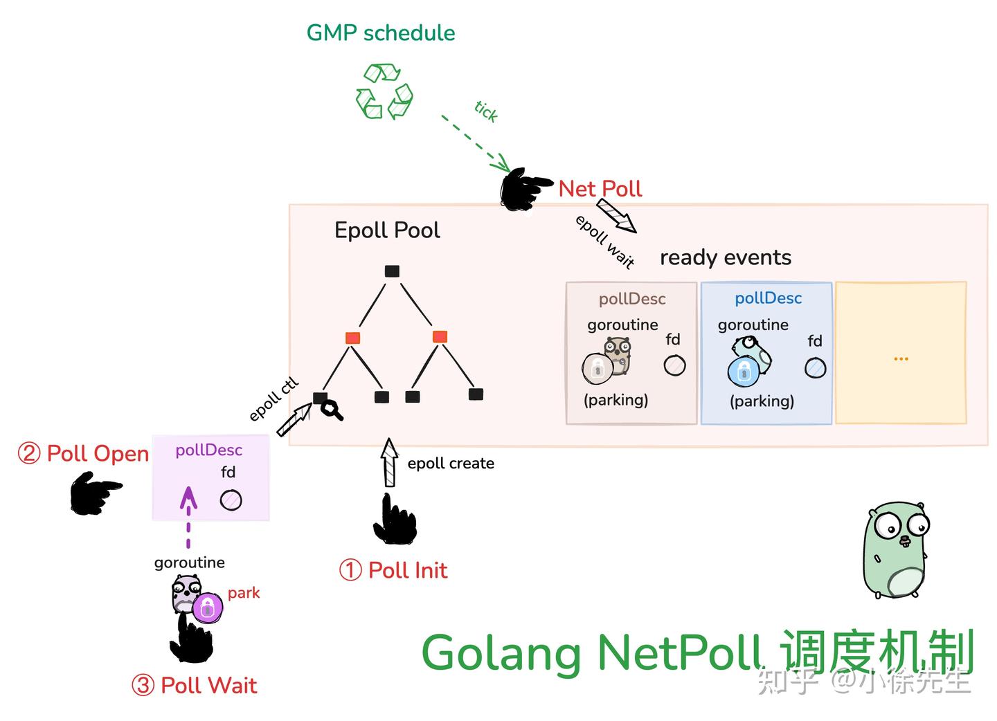 万字解析 golang netpoll 底层原理 - 知乎