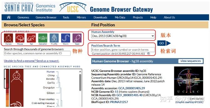 常用网站介绍|基因宝库之UCSC篇（一） - 知乎