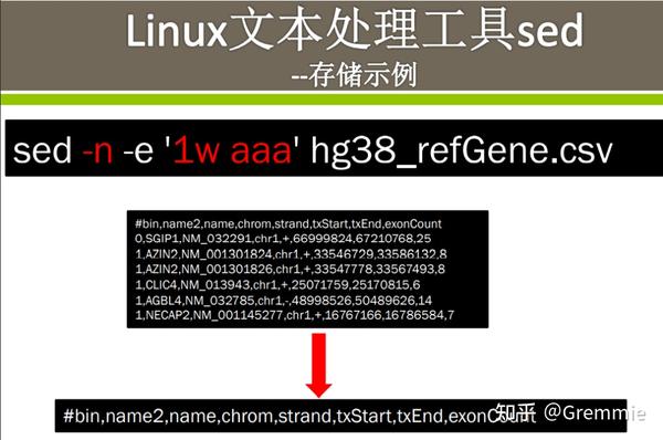 Linux文本处理工具(awk,sed,grep等) - 知乎