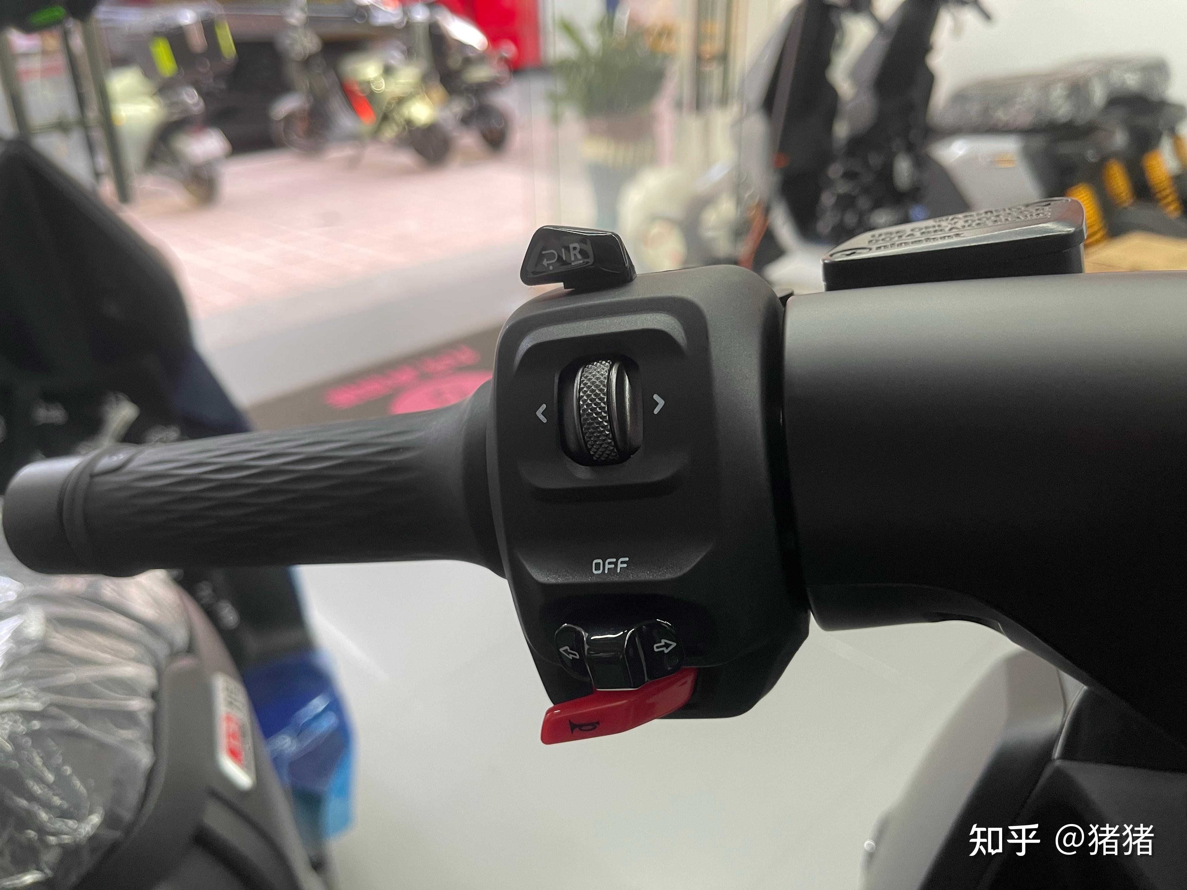 2023九号电自天花板dz110p - 知乎