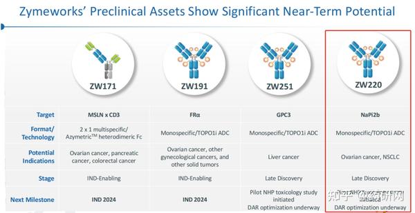 肺癌及卵巢癌潜力靶点：NaPi2b（SLC34A2） - 知乎