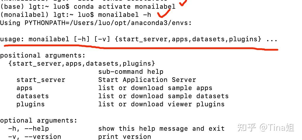 MONAILabel in 3D Slicer 案例1: 在腹部CT中自动分割脾脏 - 知乎
