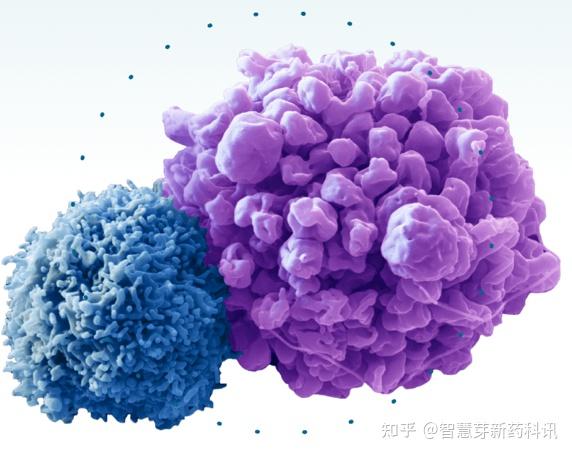 Kite Pharma自研CD19 CAR-T细胞疗法大型III期临床试验ZUMA-7获积极结果 - 知乎