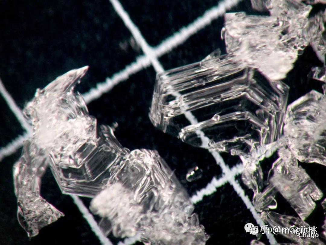 雪崩知识 基础 - 知乎