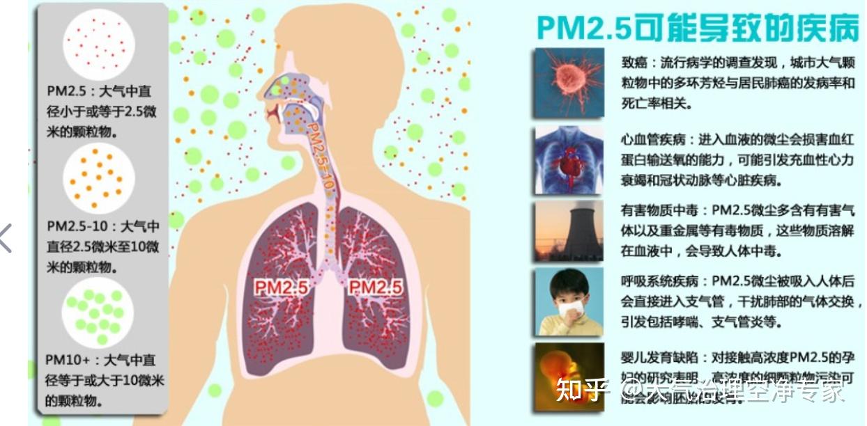 PM2.5的来源、危害及治理方法 - 知乎