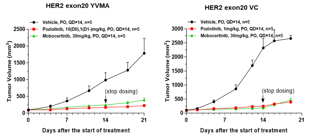 OncoWuXi速递 | Ba/F3-HER2-exon20-insertions工程细胞系 - 知乎