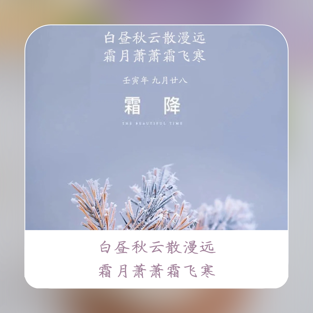 10句霜降发朋友圈的唯美走心文案！（日签水印已去除） 知乎