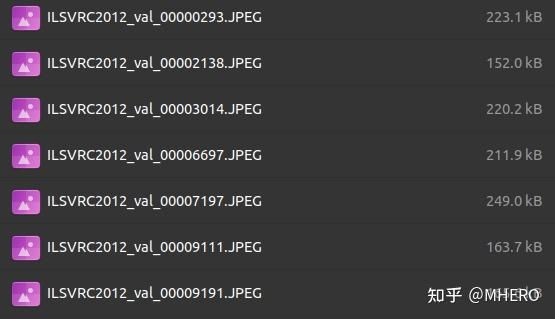 使用pytorch加载imagenet Ilsvr2012数据集 知乎 