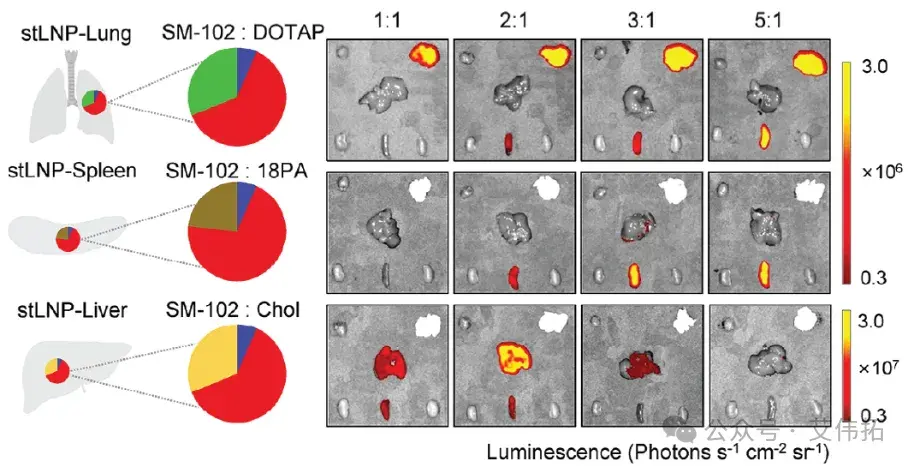 为LNP配方做减法：三组份LNP相关研究进展 - 知乎