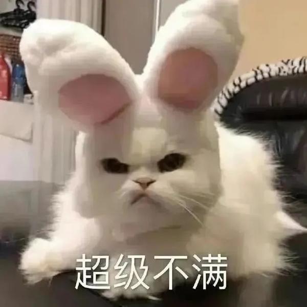 猫一放屁,全家吃不下饭tt Tt 知乎