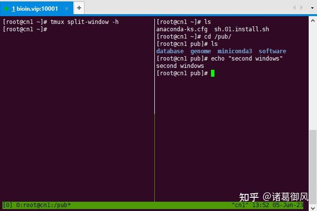 【医学生学Linux】L4MS013.2-Tmux使用教程 - 知乎