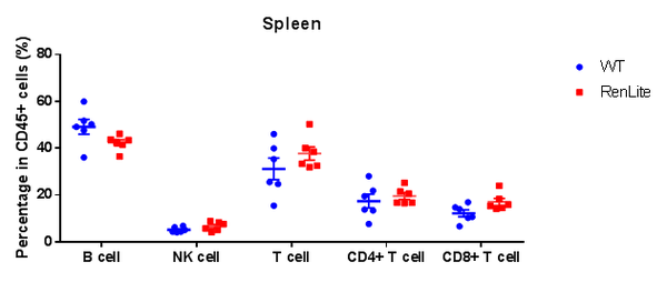 【重磅】共同轻链RenLite小鼠，搞定双特异性抗体开发 - 知乎