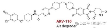 砖家预测： 2024 年可能被 FDA 批准上市 PROTAC 热门分子 - 知乎