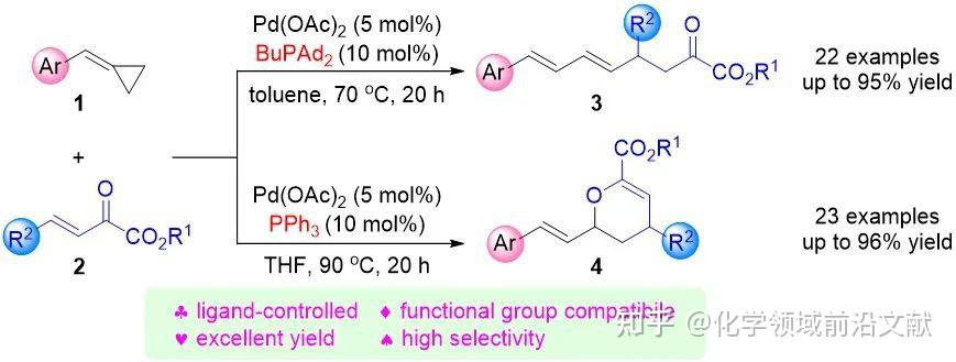 五邑大学彭金宝Org. Lett.：钯催化ACPs与β,γ-不饱和α-酮酸酯的亲核反应：配体调控的发散性合成 - 知乎