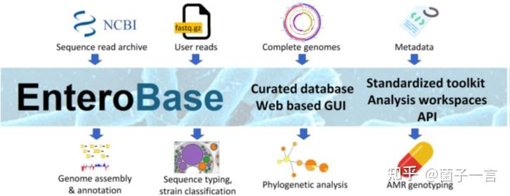 EnteroBase：探索病原体基因组流行病学的工具有更新！ - 知乎