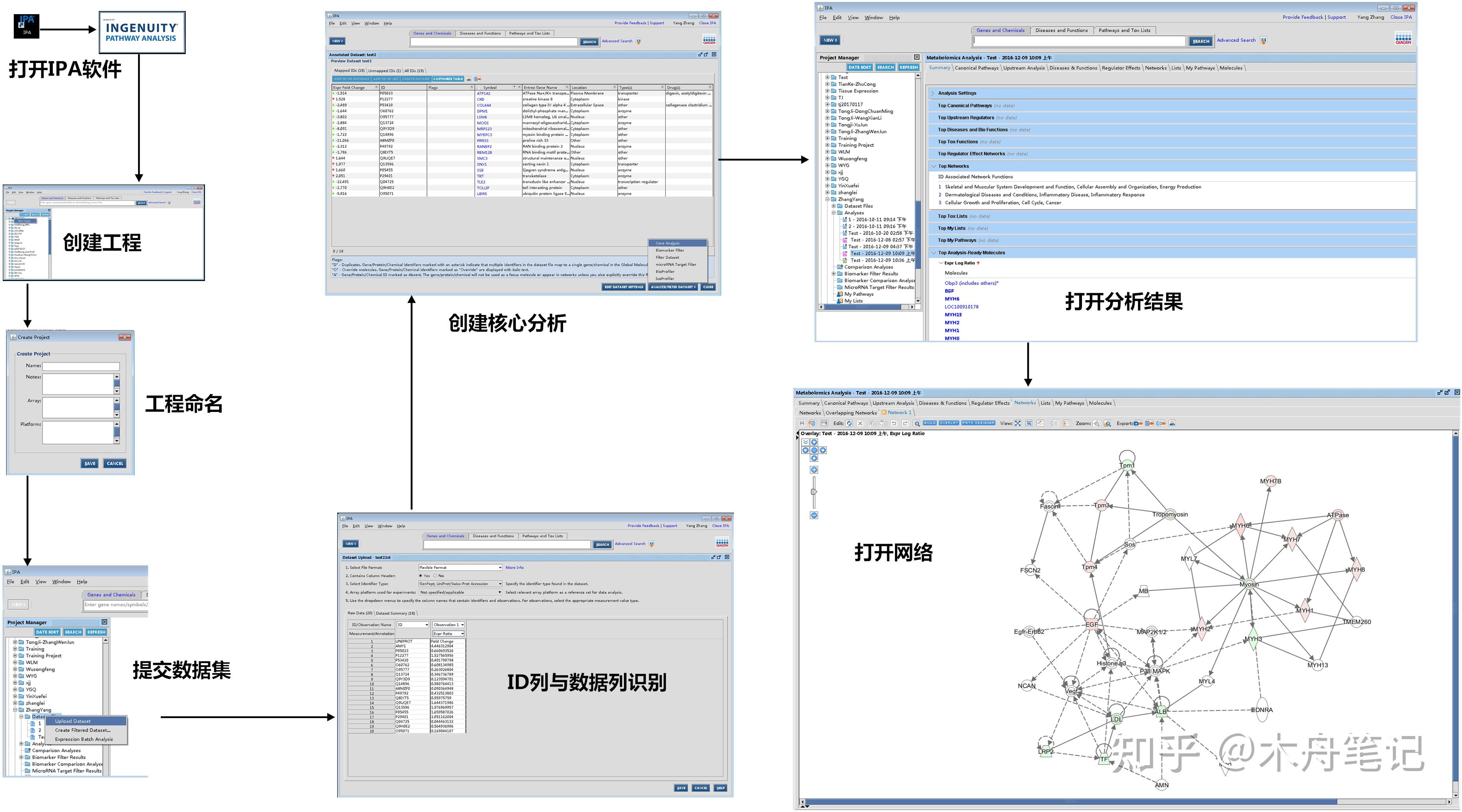 跟着Cell学作图| 11.Ingenuity Pathway Analysis(IPA) - 知乎