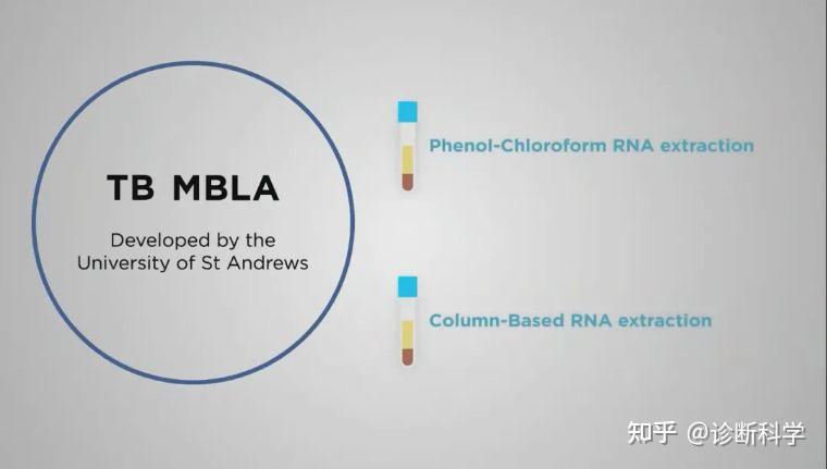 科普 | TB MBLA，判断结核病治疗是否有效的快速方案 - 知乎