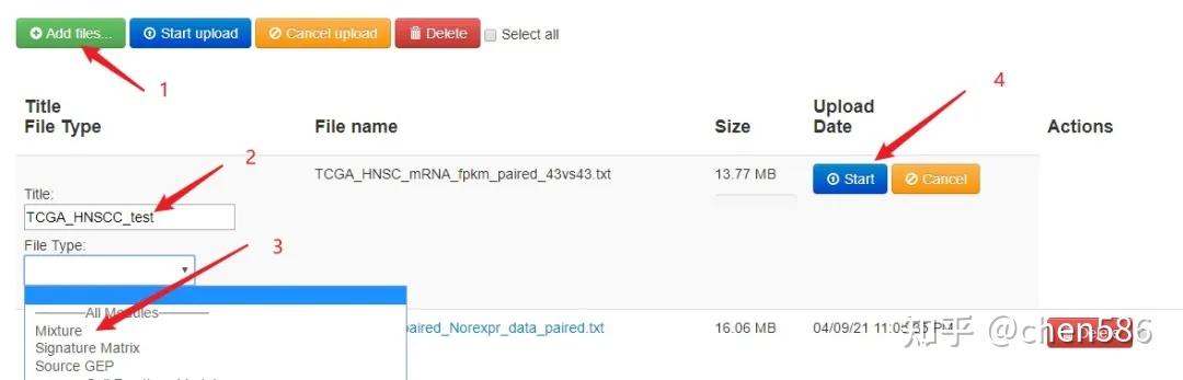 Cibersort免疫浸润的在线分析及R语言代码实现 - 知乎