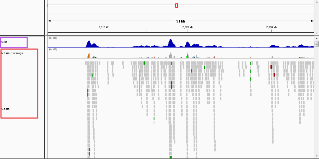 ChIP-seq/DAP-seq/ATAC-seq/CUT&Tag结果可视化-IGV使用攻略 - 知乎