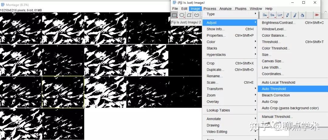 【操作篇】Image J测量平均荧光强度 - 知乎