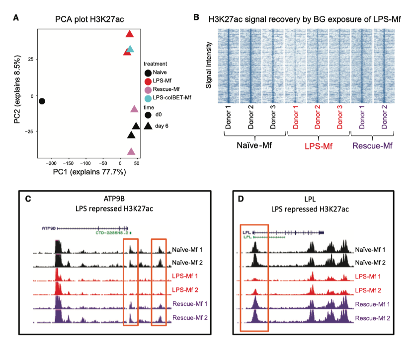 Cell丨β-葡聚糖逆转了LPS诱导的免疫耐受的表观遗传状态 - 知乎
