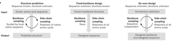 De Novo Protein Design 从头蛋白质设计时代的到来 - 知乎