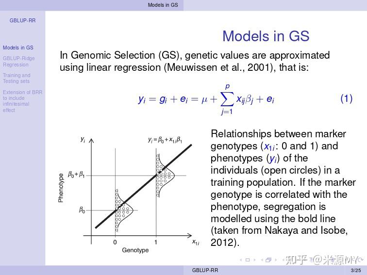 GBLUP-RR in BGLR - 知乎