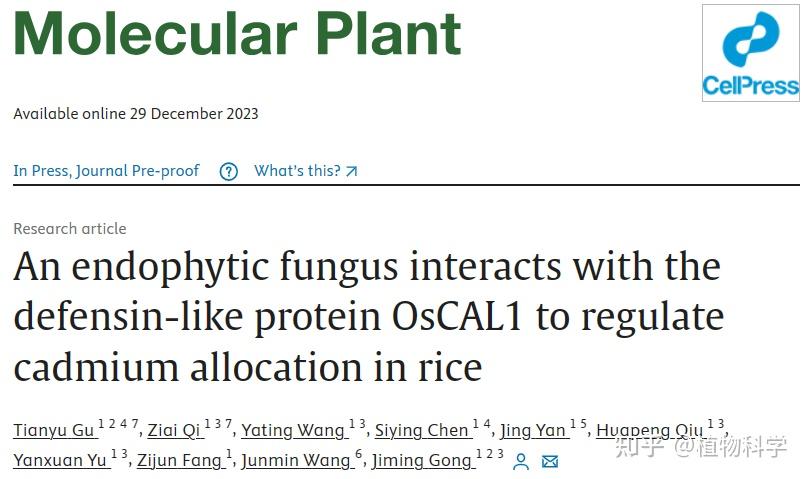 中科院龚继明组揭示水稻防御素类蛋白CAL1与内生真菌互作调节水稻重金属镉分配的机制 - 知乎