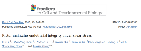 Rictor 在剪切应力下保持内皮完整性 - 知乎