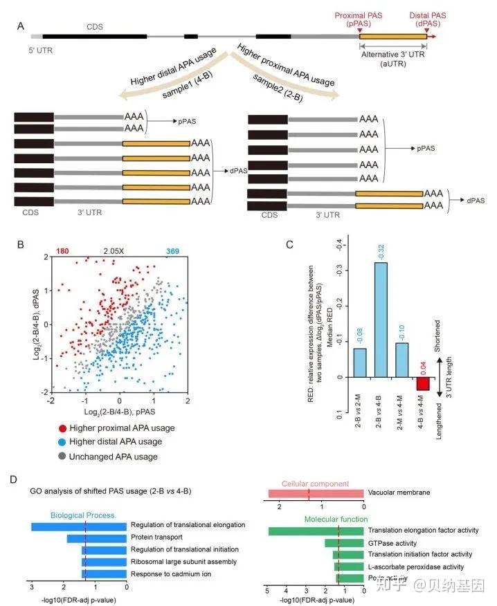DRS专题：植物Direct RNA测序研究思路及案例详解 - 知乎