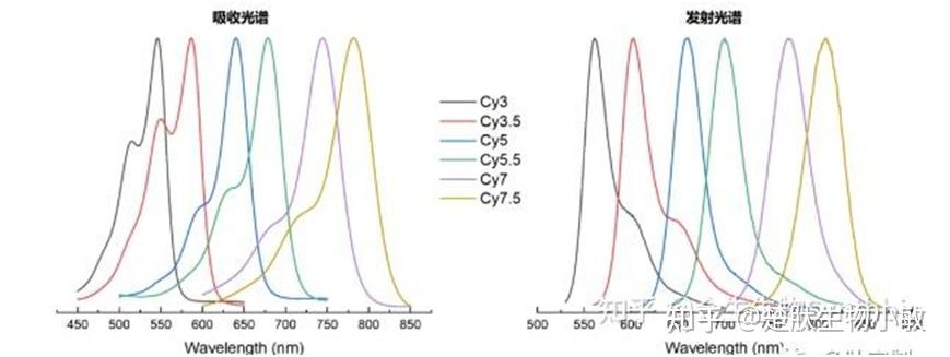 多肽荧光标记-FAM、FITC、Dansyl、TAMRA、Cy标记服务 - 知乎