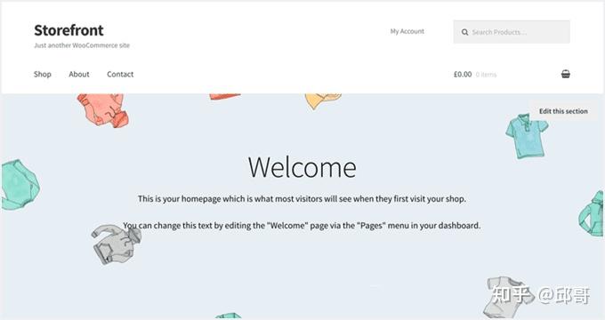 49 个最佳 WooCommerce WordPress 主题 - 知乎