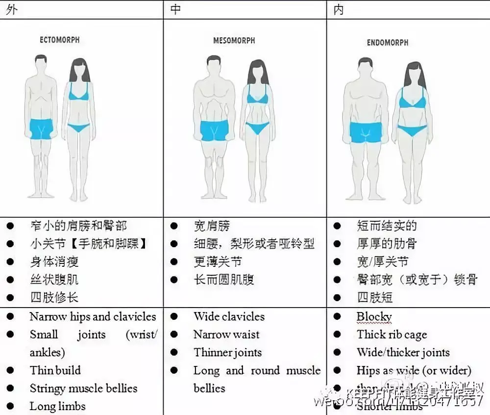 了解自己的体质，让减肥更精准！ 知乎