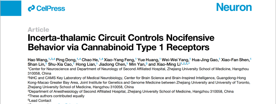 疼痛调节的Po-ZI通路 - 知乎