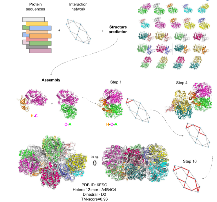 Nat. Commun. | 使用AlphaFold和蒙特卡洛树搜索预测大型蛋白质复合物 - 知乎