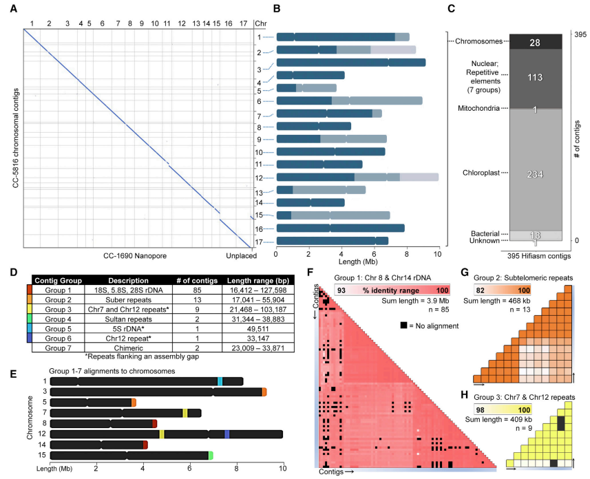 最新“T2T”大放送丨2023上半年T2T基因组文章汇总 - 知乎