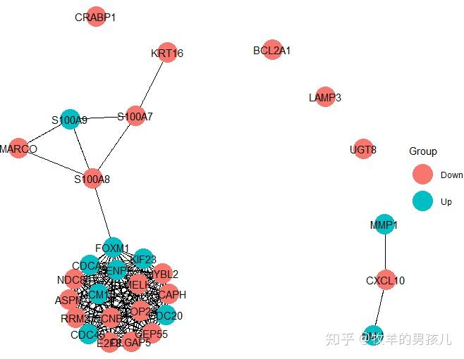 R语言可视化STRING分析的蛋白互作网络（PPI） - 知乎