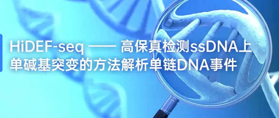 HiDEF-seq——高保真检测ssDNA上单碱基突变的方法解析单链DNA事件 - 知乎