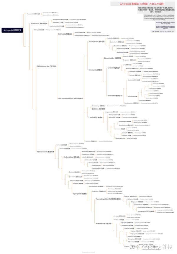 寒武百虫录:类肢动物（1）类肢亚门（Artiopoda）的分类 - 知乎