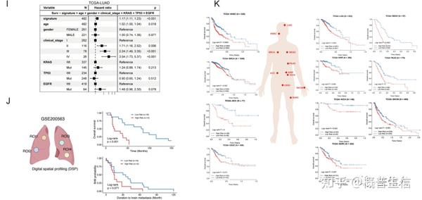 公开单细胞数据如何发到7+ - 知乎