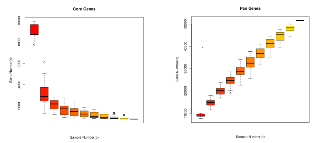 文章必备| 叶绿体基因组高级分析内容汇总 - 知乎