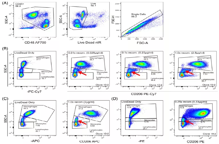 流式实验救命指南！ 6 个步骤拿下 - 知乎